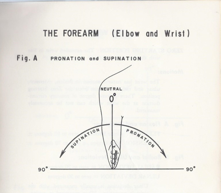 Best Ergonomic Computer Mouse for Repetitive Strain Injury (RSI) - DXT ...
